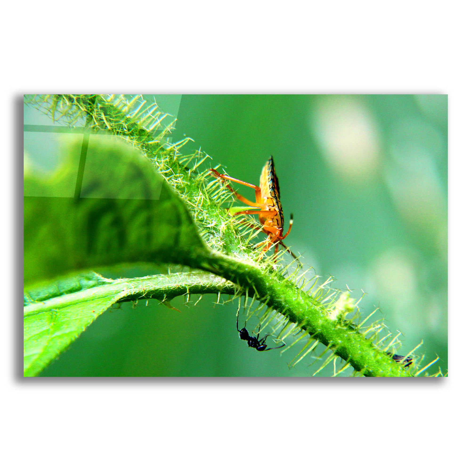 Latitude Run® 'Two Lane Highway' By Dana Brett Munach, Acrylic Glass Wall Art, 16"X12" - Wayfair ...